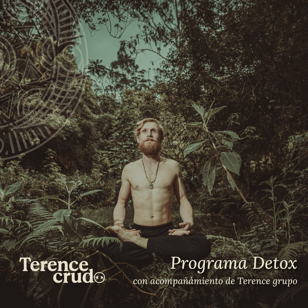 Programa Detox Con Acompañamiento De Terence – Cursos Terence Crudo